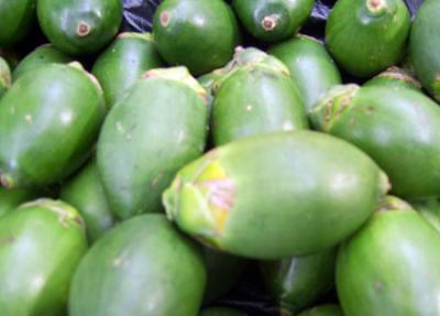 China Areca Nut Extract,Areca Nut P.E.,Areca Nut Extract Powder,Betel Nut Extract,Betel Nut Ext. for sale