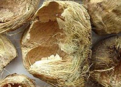 China Areca Peel Extract,Pericarpium Arecae Extract,Betelnut skin extract,alkaloid 10:1 for sale