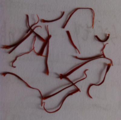 China saffron flower from Iran for sale