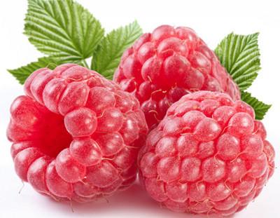 China chinese Raspberry extract powder anthocyanidins 25% /Raspberry ketone 15% CAS:84082-34-8 for sale