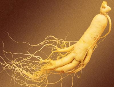 China Low Pesticides Panax Ginseng Root Extract 5%~80% Ginsenosides Cas.:72480-62-7,90045-38-8 for sale