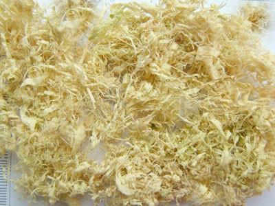 China high quality bamboo leaf extract,bamboo shavings extract powder,natural bamboo extract for sale