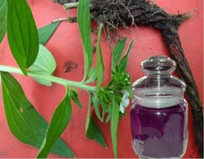 amla extract powder