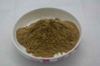 China natural yucca schidigera extract for Feed CAS No:90147-57-2 for sale