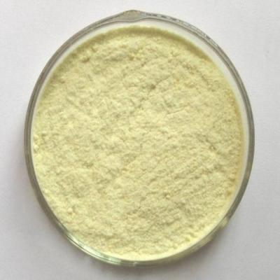 China Camptotheca Acuminata Extract Camptothecin 98%HPLC for sale