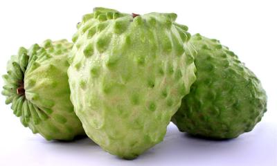 China instant Graviola Fruit Powder for sale