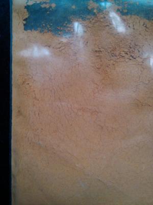 China Silybin Milk Thistle Extract for sale