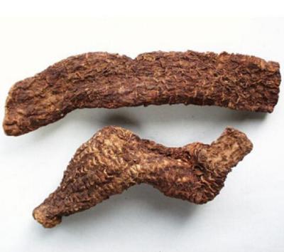 China Cistanche Extract total phenylethanoid glycosides 40%-80% for sale