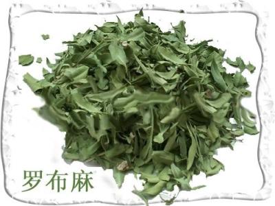 China Dogbane Leaf Extract/Apocynum venetum Extract Total Flavonoid 5%-10% for sale
