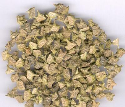 China man health care tribulus terrestris extract protodioscin for sale