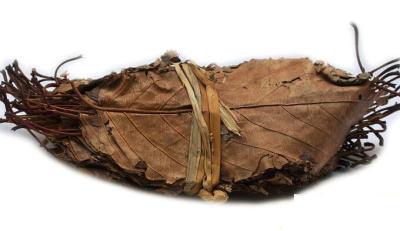 China 100% pure natural Hawthorn Leaf Extract 0.2% Vitexin Cas.:3681-93-4 for sale