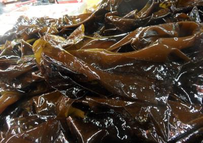 China laminaria japonica fucoxanthin 5% for sale