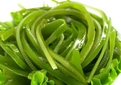 China brown algae extract fucoxanthin 50% for sale