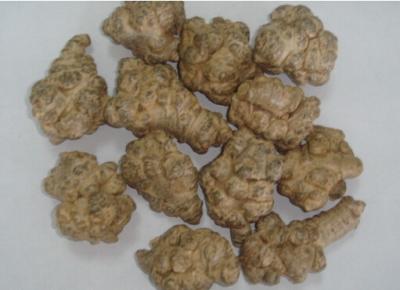 China Notoginseng Leaf Extract Notoginsenosides 85%UV,Rb3 10%HPLC for sale