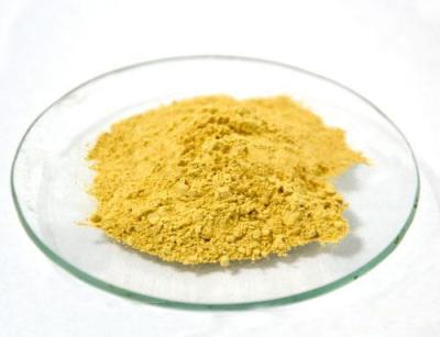 China Common Fenugreek Seed Powder Extract 10:1 for sale