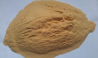 China camellia seed extract,camellia japonica seed extract,camellia sinensis seed extract for sale