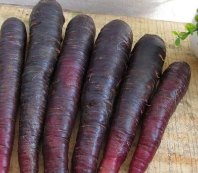 China pure anthocyanin powder Cas.:11029-12-2 for sale