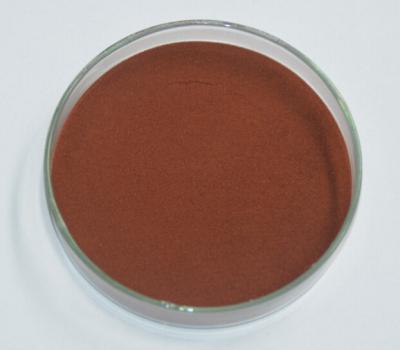 China pine bark extract for skin,pine bark extract for hair loss,pine bark extract inflammation for sale