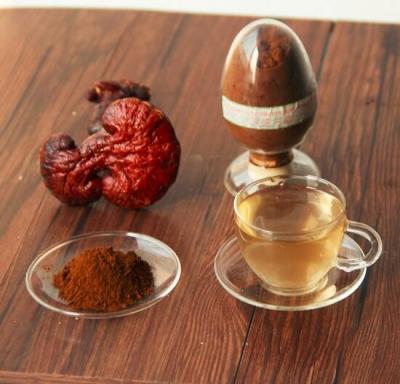 China 100% natural ganoderma lucidum extract powder of polysaccharides 30%, triterpene 2% for sale