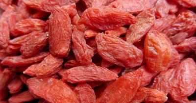 China fresh dried goji berries for sale