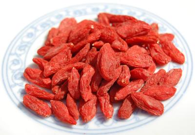 China organic bulk goji berry for sale