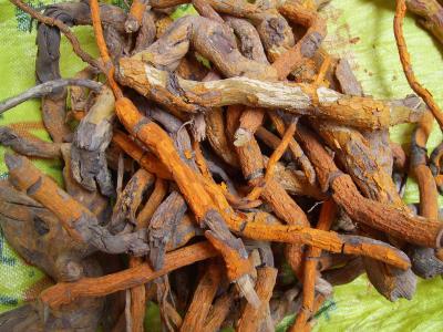 China Tripterygium wilfordii extract powder triptolide 99hplc 1g,2g,10g,50g for sale