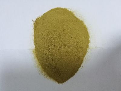China Oliver leaf Extract,Hydroxytyrosol,Hydroxytyrosol powder for sale