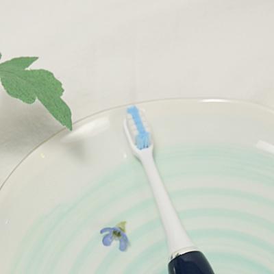 Cina viaggio ricaricabile Sonic Toothbrush dello spazzolino da denti IPX7 del Usb 0.7W in vendita