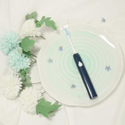 Cina viaggio ricaricabile Sonic Toothbrush dello spazzolino da denti IPX7 del Usb 0.7W in vendita