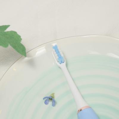 Cina Pulizia sonica orale astuta degli spazzolini da denti 0.7W di cura di cura della gomma per il viaggio in vendita