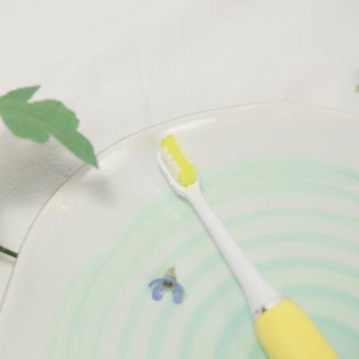Cina spazzolino da denti a pile elettrico impermeabile 3.7V per gli adulti in vendita