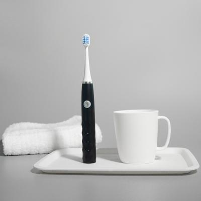 Cina Testa facoltativa ricaricabile elettrica della spazzola di Sonic Cleaning Oral Care Toothbrushes in vendita