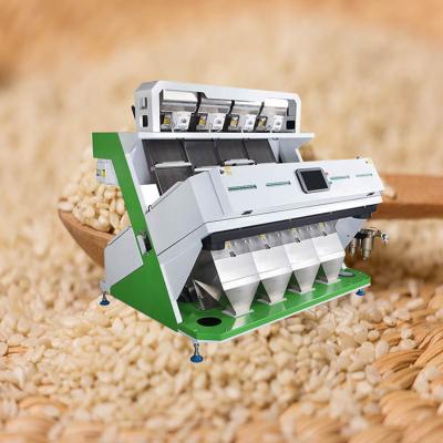 China China Rice Color Sorter High quality CCD Rice Color Sorter Optical Rice Sorting Machine for sale