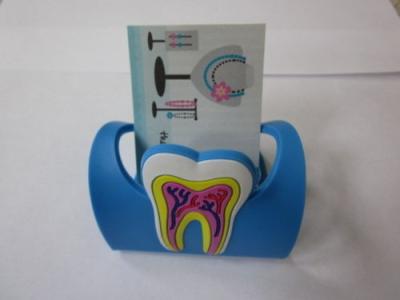 China DENTAL BUSSINESS CARD HOLDER RUBBER MOLAR TOOTH for sale