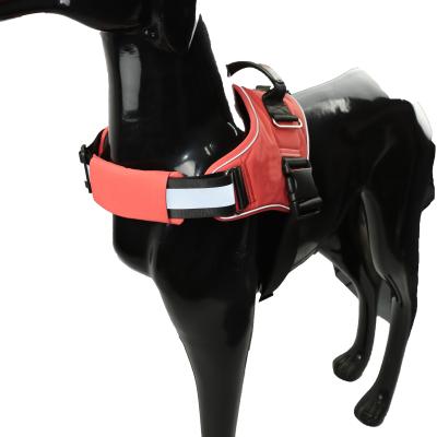 China 19 Inches Adjustable Durable Dog Harness For Puppy Everyday Walks Hikes Training Sturdy Handle for sale