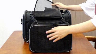 Cina Extensible Foldable Portable Travel Outdoor Backpack Handbag Pet Dog Cat Small Animal in vendita