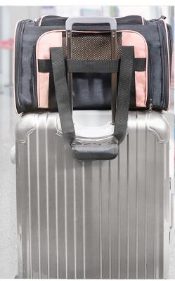 Cina OEM / ODM Custom Expandable Pet Carrier Clear Breathable Pet Cat Bag For Travel in vendita