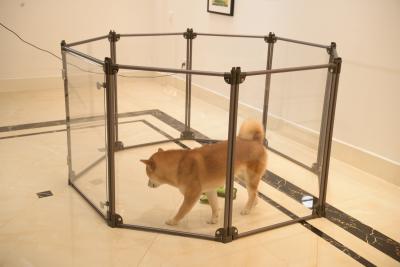Cina Penna per cani nera trasparente resistente agli urti per cuccioli e gatti in vendita