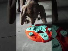Xxl Xl Slow Feeder Puzzle Dog Bowl  For French Bulldog Puppy Pet Fun Games Toys PP No Deformation