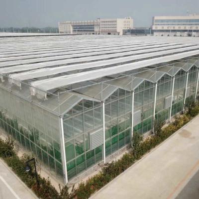 China Farm Agriculture Greenhouse Equipments Multi Span Glass Inner Outer Shading System for sale