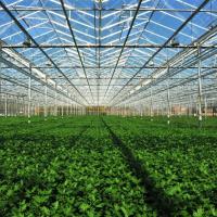 Quality 24 X 24 24 X 18 20x30 Venlo Custom Glass Greenhouse Cover Sides Polycarbonate for sale