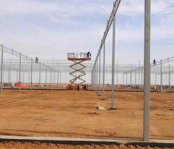 Quality 12m Span Gutter Connected Venlo Tempered Glass Greenhouse For Flowers 12x10 for sale