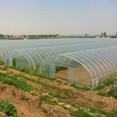 중국 9x30m 플라스틱 터널 온실 채소 재배용 플라스틱 필름 판매용