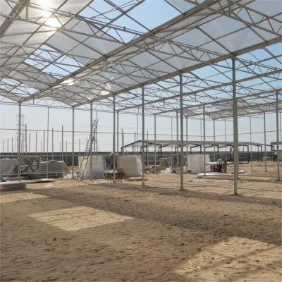 China 9.6m Span Venlo Pc Sheet Greenhouse Galvanized Steel Framework Green House Used For Agricuture for sale