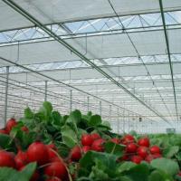 Quality 4.3m 55% Shading Rate Aluminum Foil Shade Net Shade Screen Shadow Cloth For for sale