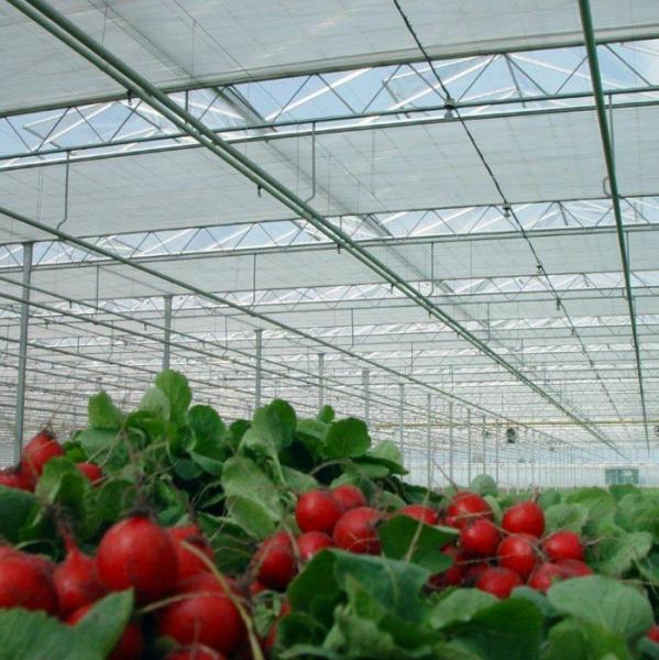 Quality 4.3m 55% Shading Rate Aluminum Foil Shade Net Shade Screen  Shadow Cloth For Inner Shading System for sale
