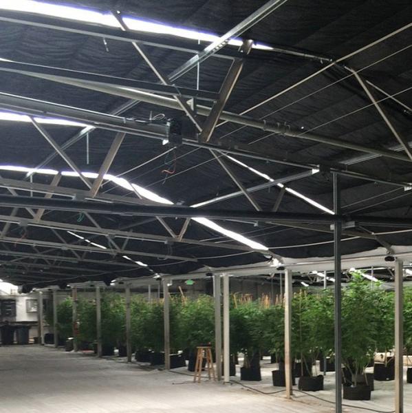 Quality Automatic Light Deprivation Greenhouse Blackout System Greenhouse For Medical Plants for sale
