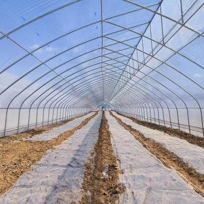 China Indoor Hydroponic Tropical Area Polytunnel  Sawtootch Greenhouse With Cooling Irrigation System for sale