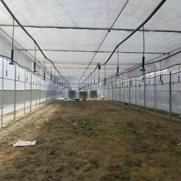 Quality 8m Wide Span Tomato Greenhouse Farming Commercial Poly Tunnel With Shading for sale