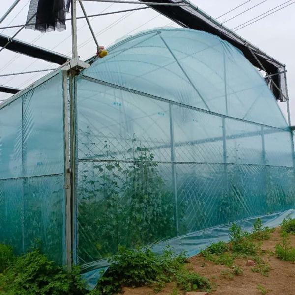 Quality 8m Wide Span Tomato Greenhouse Farming Commercial Poly Tunnel With Shading for sale